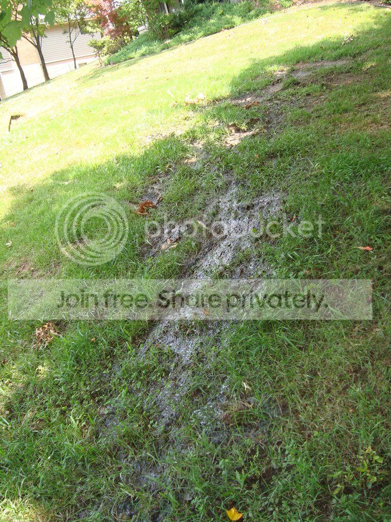 Groundwater Seep