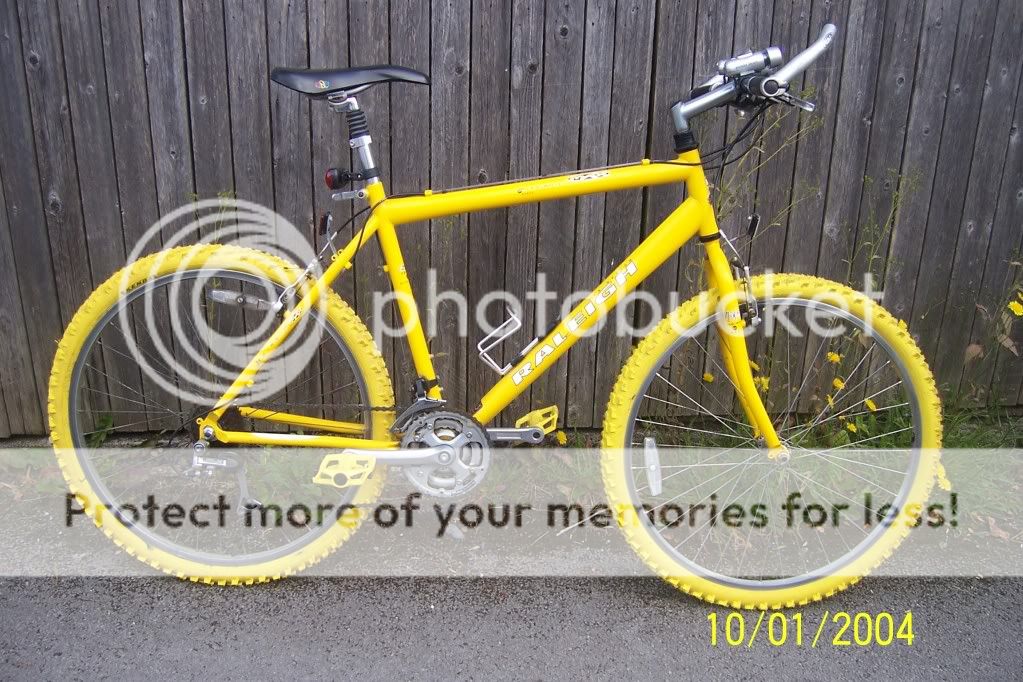 His 'n' Hers Raleigh Max | Rat Rod Bikes Bicycle Forum