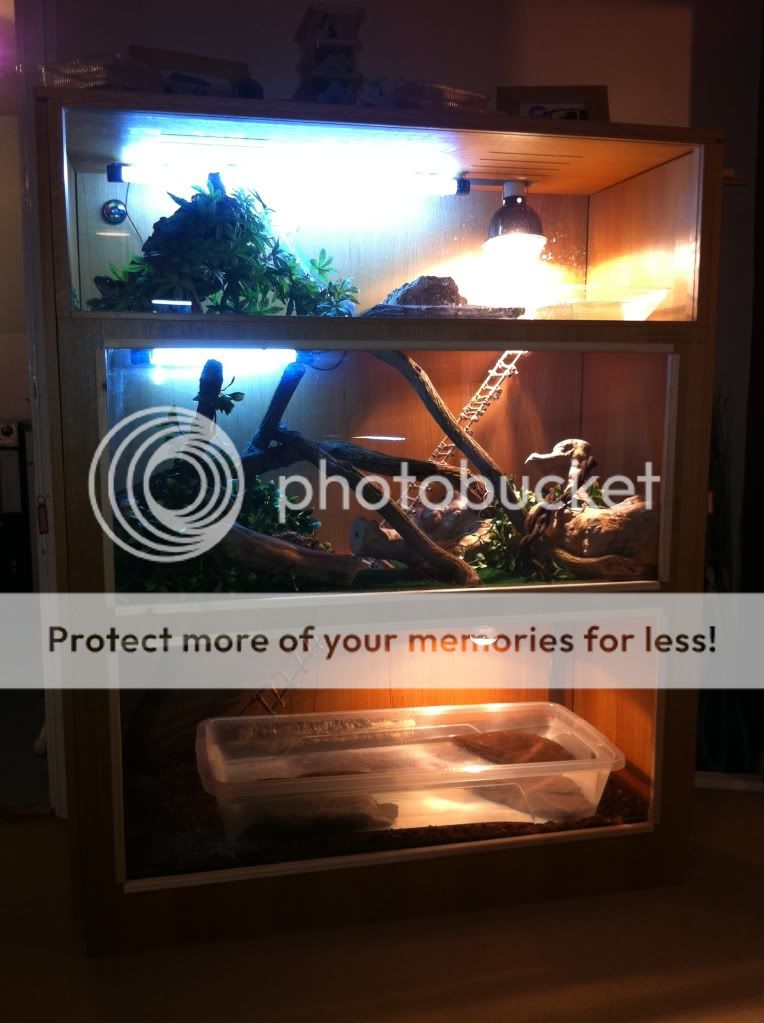 diy home made vivs post your pics,ideas??? | Reptile Forums