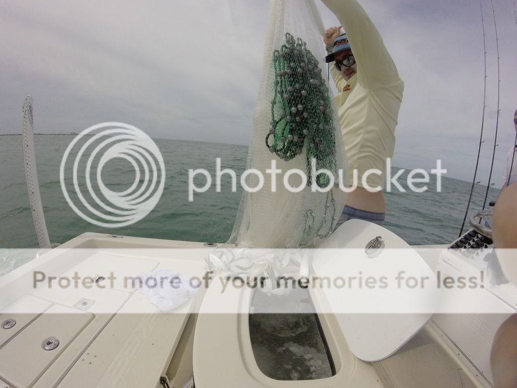 Florida Spring Fishing - Fishing Forum - Niagara Fishing Forum